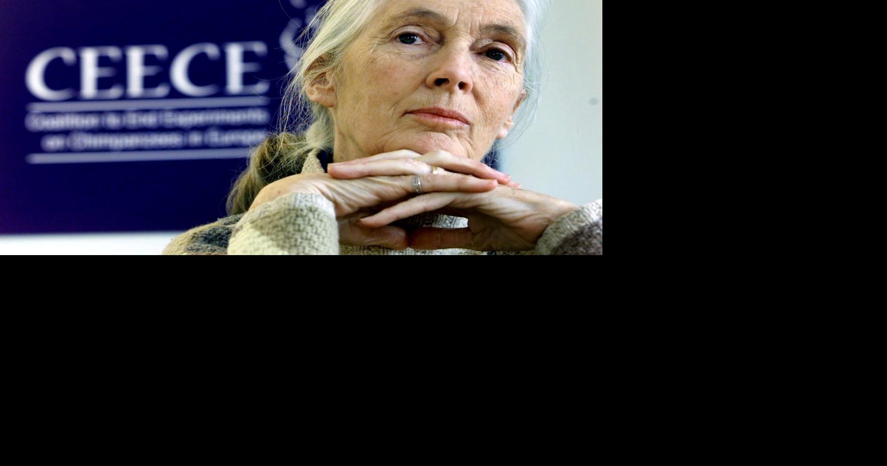 PETA names Jane Goodall ‘person of the year’ for 2025 | National News ...