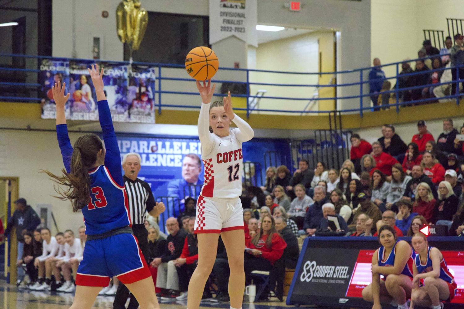 Lady Raiders roll Warren, Raiders fall to Shelbyville in District Semis ...