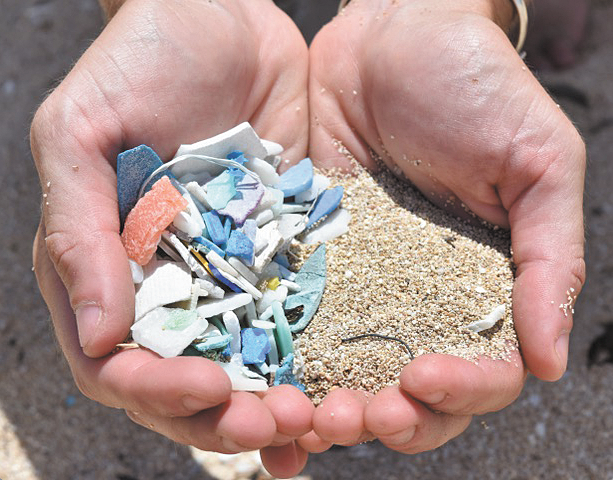 Research Spotlight: Marine Debris | Green Notes | manoanow.org