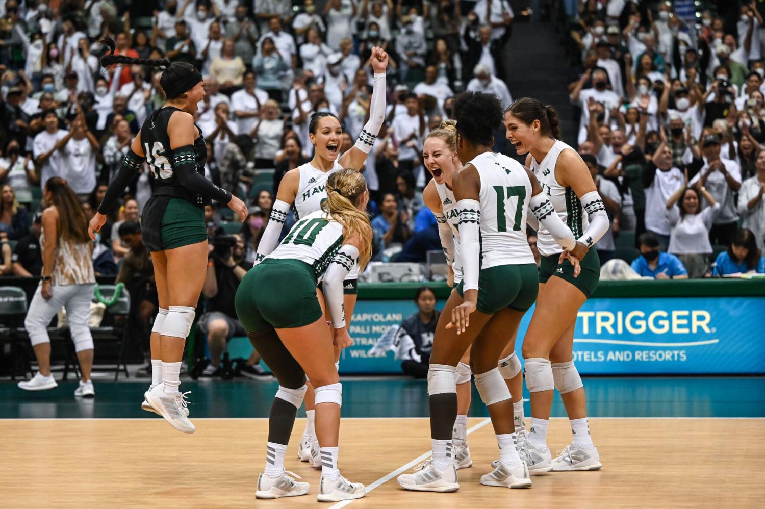 Rainbow Wāhine volleyball to play LSU to begin NCAA tournament | Sports ...