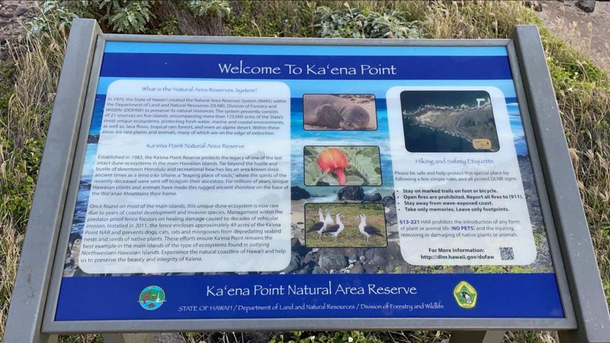 A guide to Kaʻena Point Pillbox Hike: “The leaping place of spirits ...