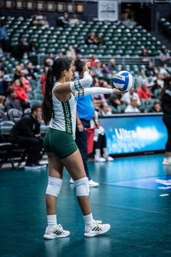 Wāhine volleyball: Spring edition | Women's Volleyball | manoanow.org