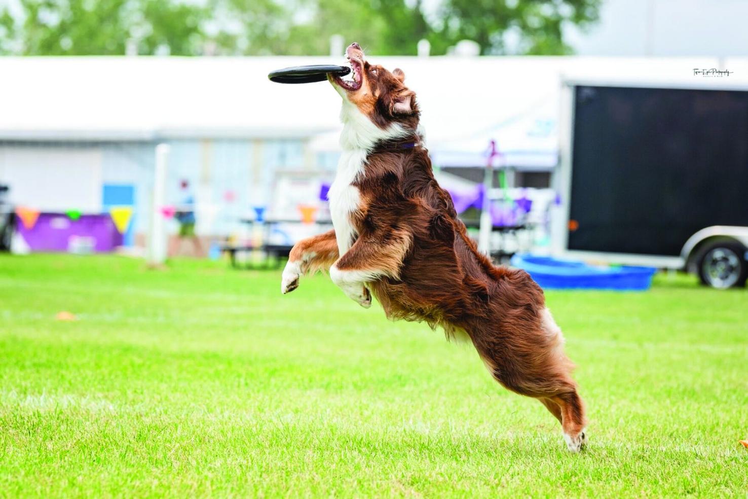 KLIMB Classic returns to Maquoketa | Calendar | maqnews.com