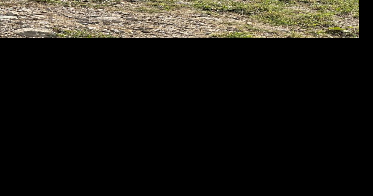 Neil Howell | Obituaries | maqnews.com