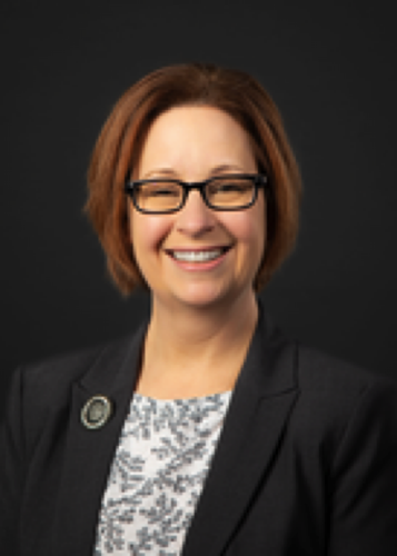 Two constitutional amendments on ballot | Local News | maqnews.com