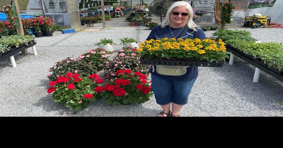 Donna's Plants