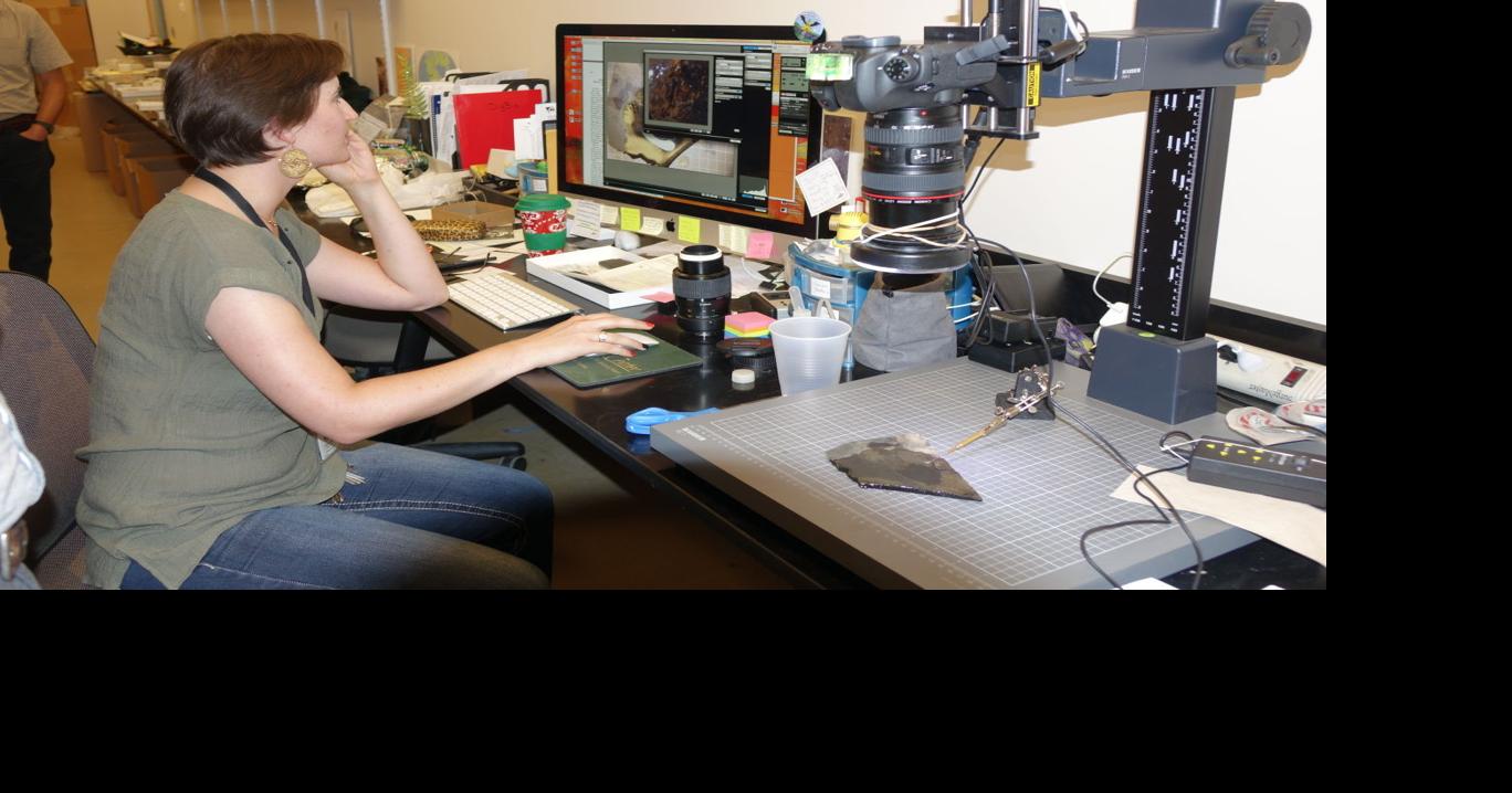 Solite quarry still yields fossils