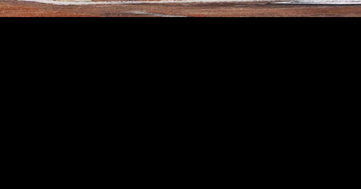 'The joy that he has for the game of baseball': Mustangs 'Journeyman ...