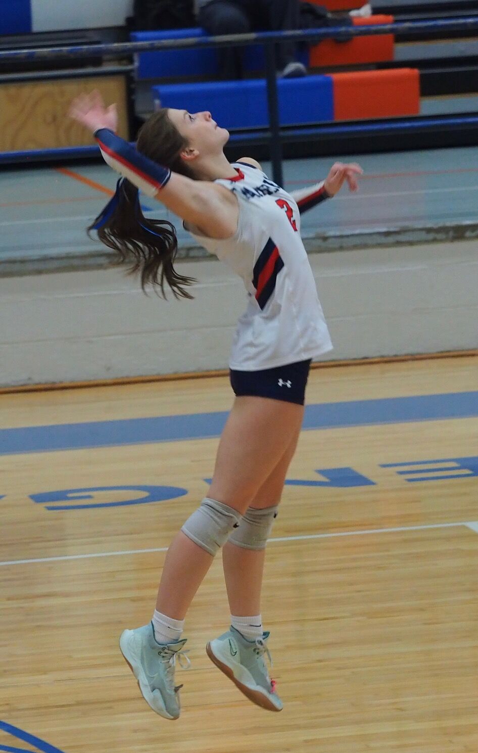 Magna Vista, Bassett, Patrick County volleyball honorees