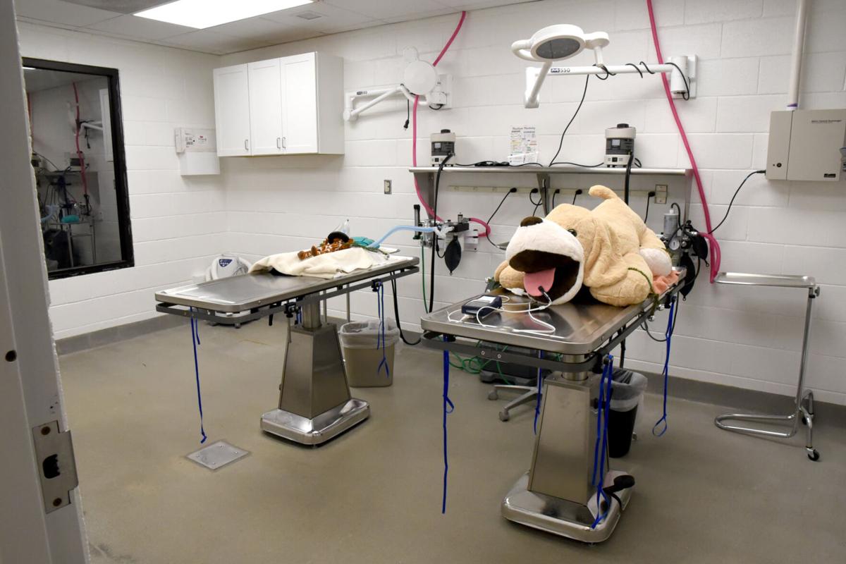 SPCA opens veterinary care clinic in its facility
