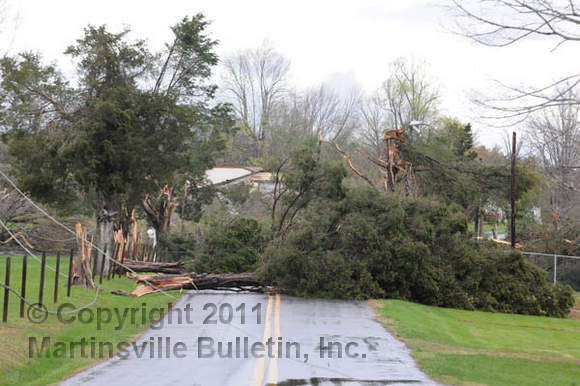 Storm destroyed trees, buildings