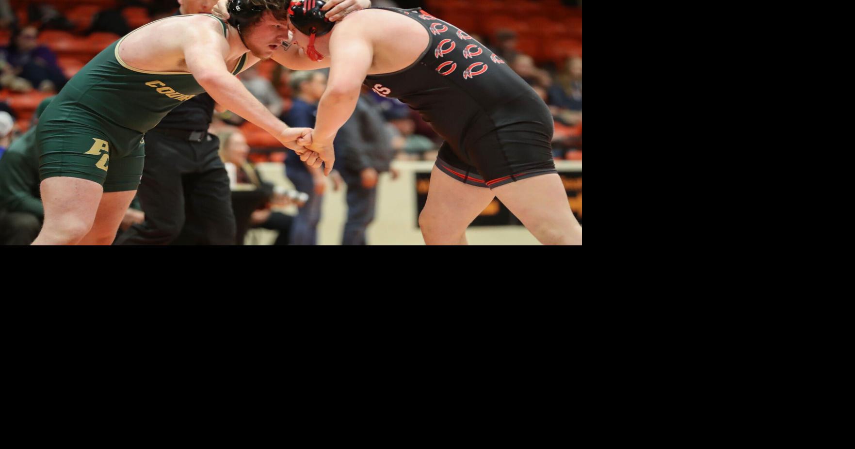 High School Wrestling: Patrick County's Paul Pascale finishes 2nd ...