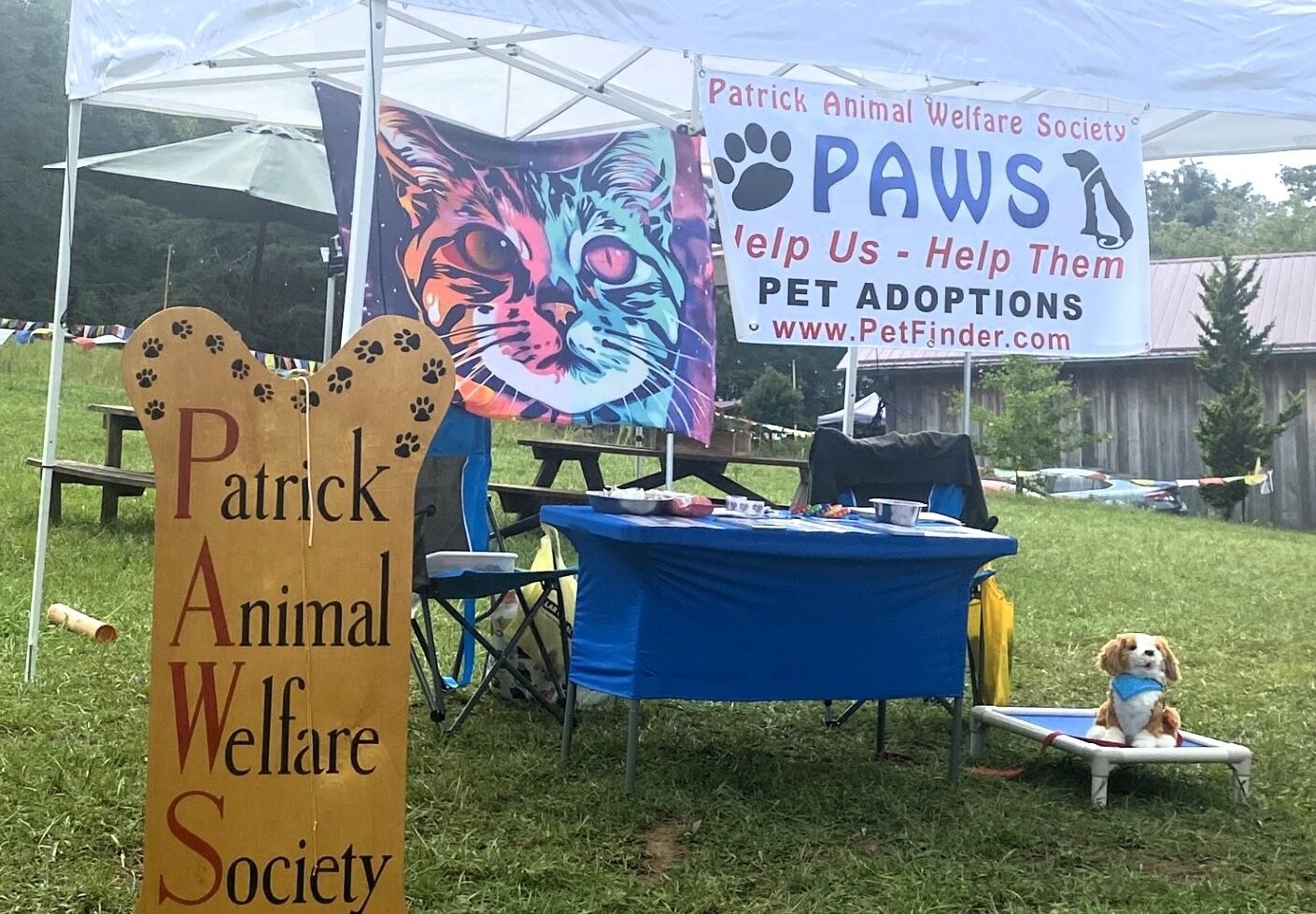 Local child raises funds for Patrick County animal shelter