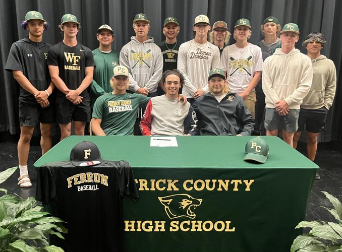 Patrick County baseball blonds ready for state semifinals