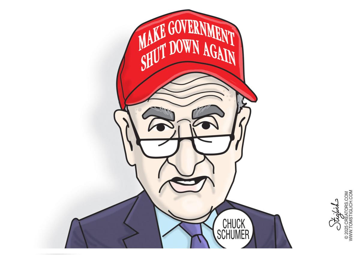 9 political cartoons censure the shutdown