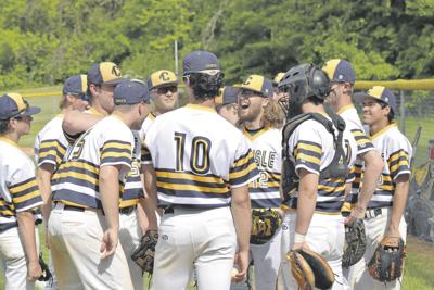 Area Roundup: Carlisle baseball moves on in VIC tourney | Sports ...
