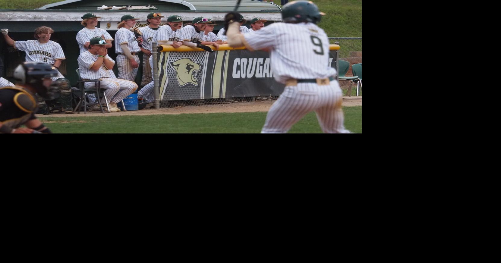Patrick County baseball headed to state tournament