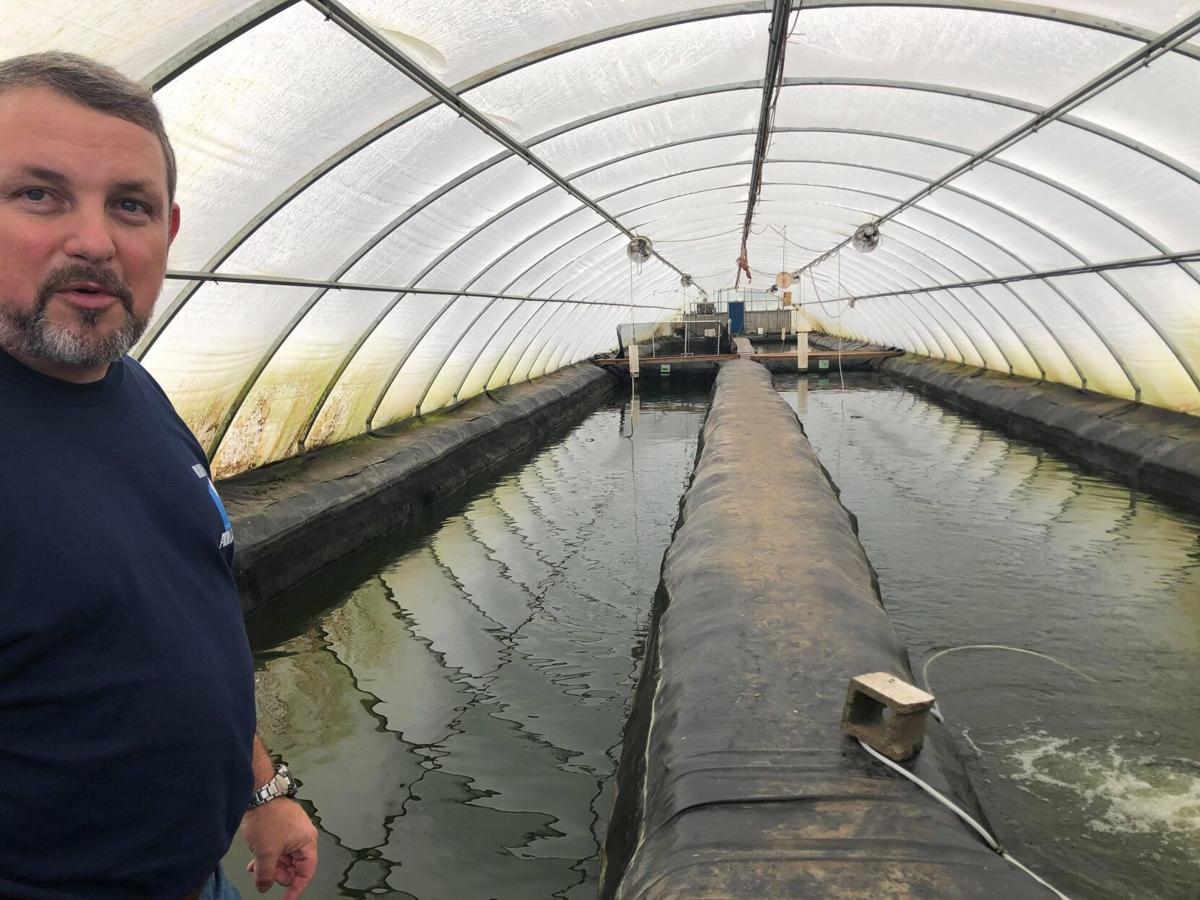 Blue Ridge Aquaculture