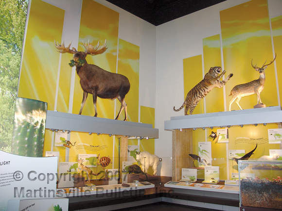 Attendance up at VMNH