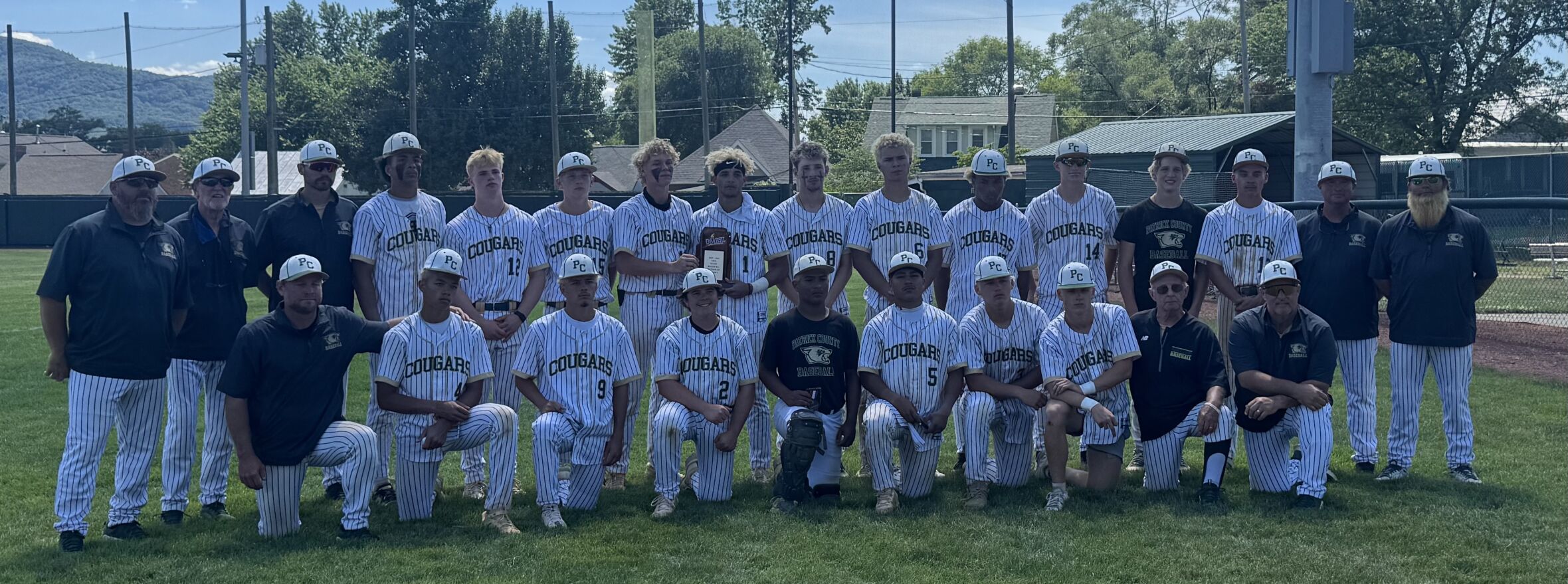 Patrick County baseball falls to Lebanon in state title game