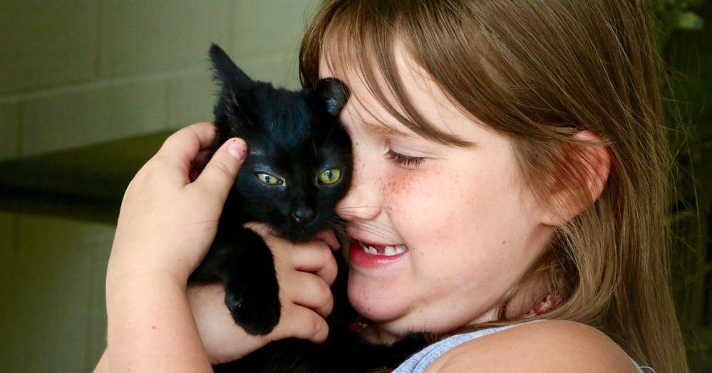 Lessons Learned: Students take care of pets at SPCA camp