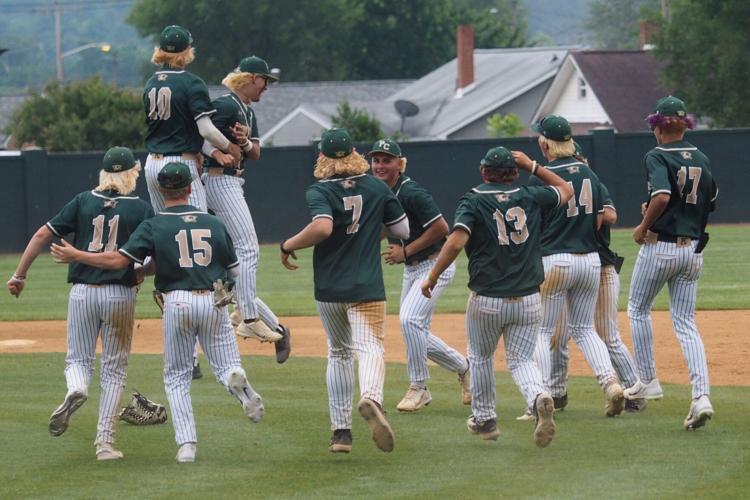 Patrick County baseball defeats Buckingham, heads to state finals