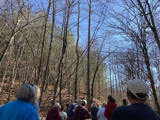First Day Hike on the Red Bud Trail