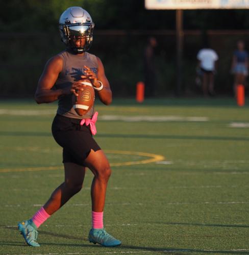 Area Roundup: P&HCC names new men's basketball coach; 7v7 football ...