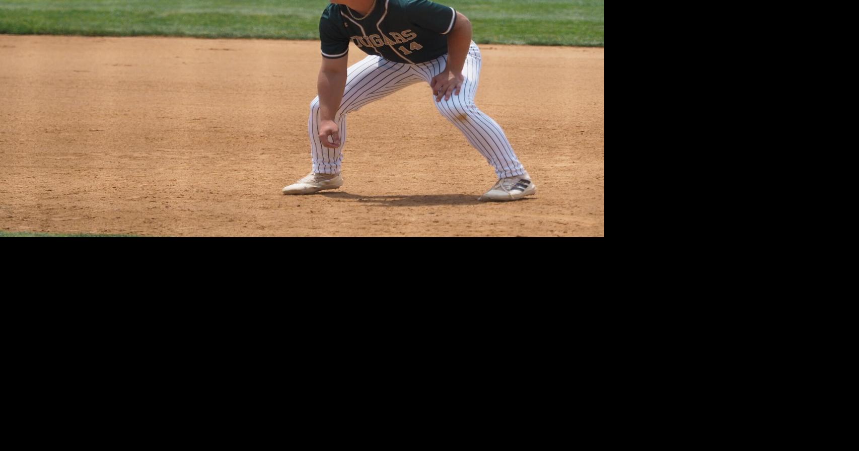 PHOTOS: Patrick County baseball defeats Buckingham in state semifinals
