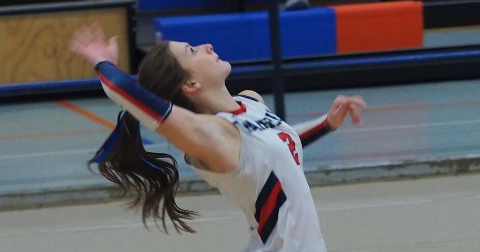 Magna Vista, Bassett, Patrick County volleyball honorees