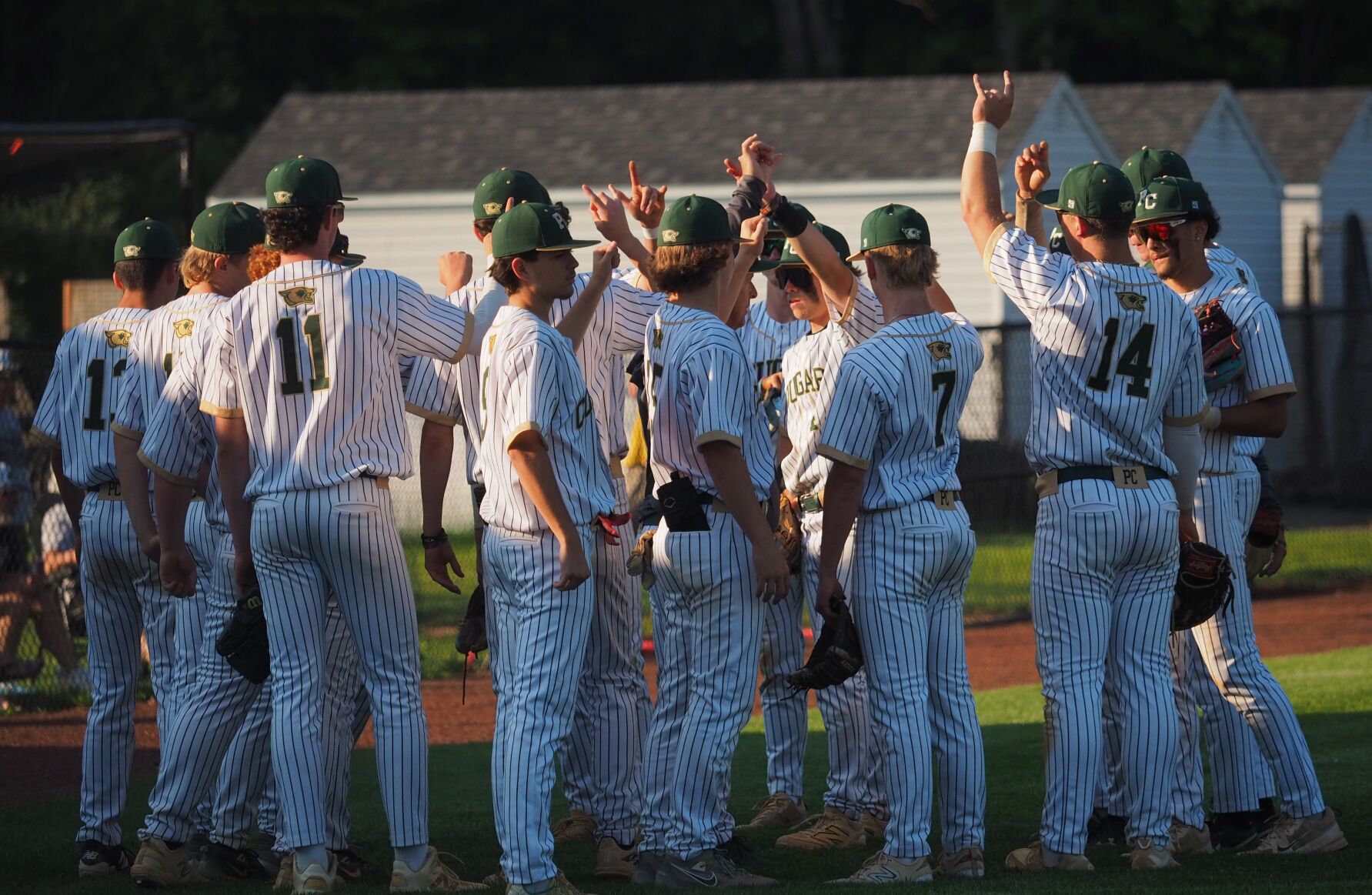 High School Baseball: Patrick County falls to defending region champion ...