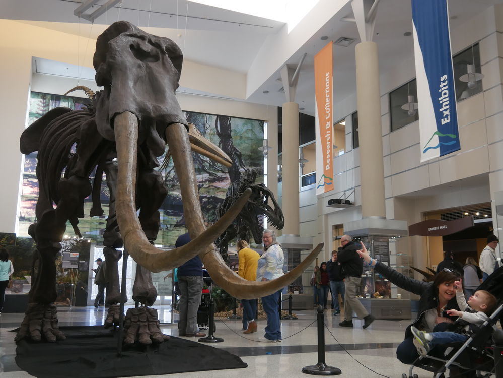 Tobacco Commission helps museum fund pavilion project