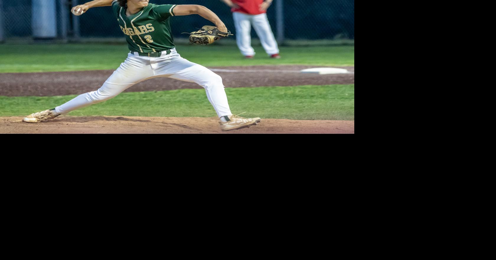 Piedmont District Baseball: Tunstall downs Patrick County in pitcher's duel
