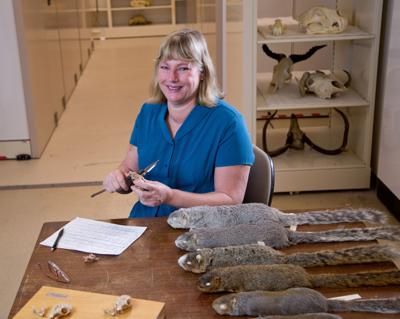 Retired mammalogy curator named Curator Emerita