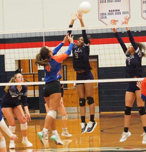 Piedmont District Volleyball: Magna Vista bests Bassett