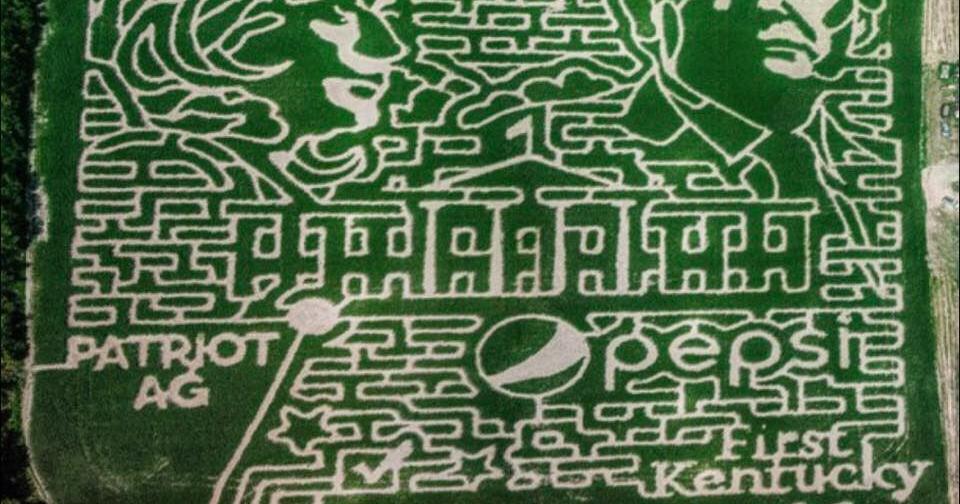 A-Maize-ing Farms unveils corn maze themed around 2024 presidential ...