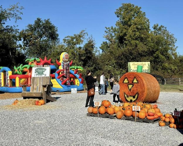 Tourism commission highlights another successful year of Haunted Graves ...