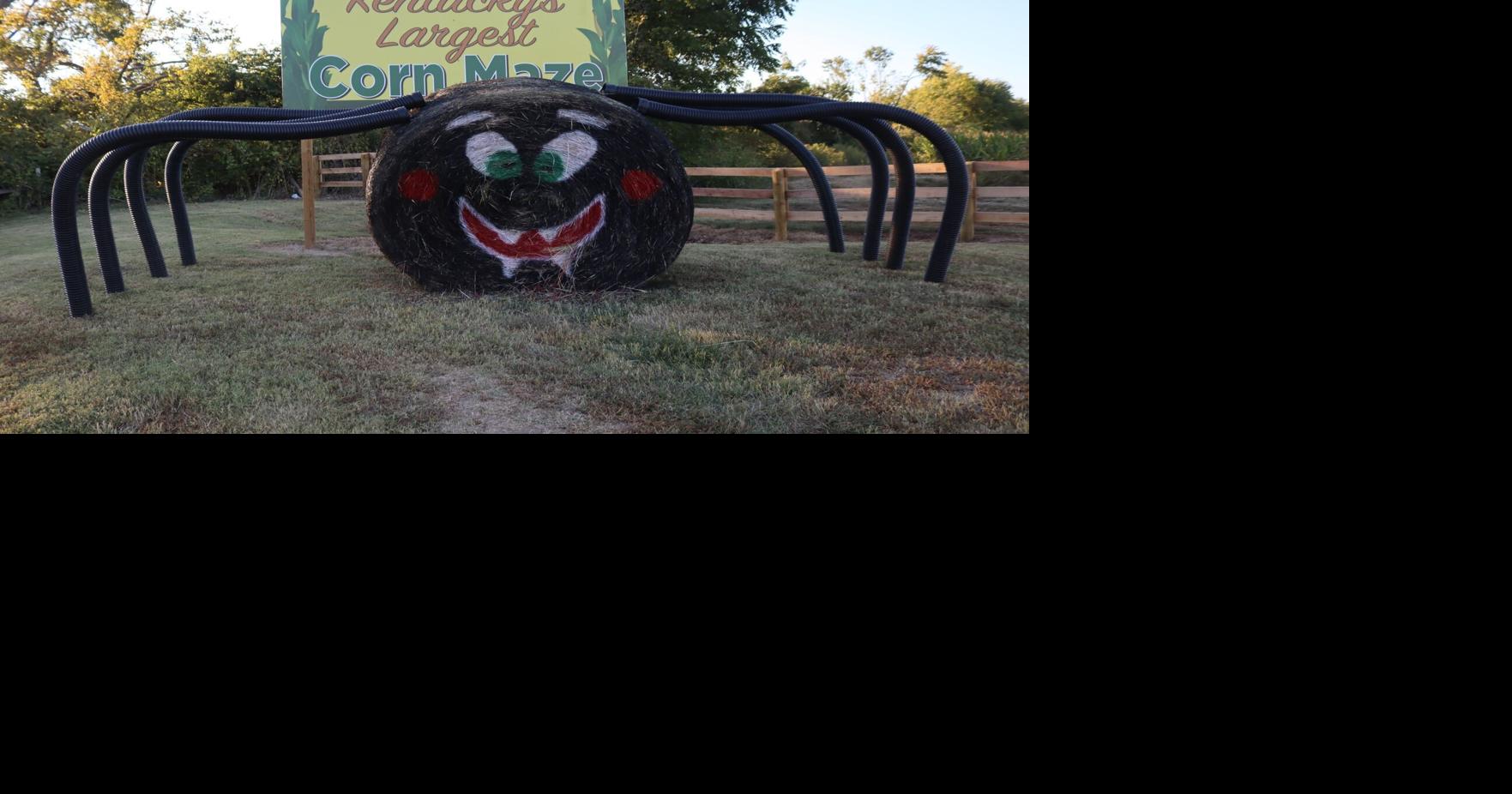 Bale Trail bigger and better in 2022 | News | mayfield-messenger.com