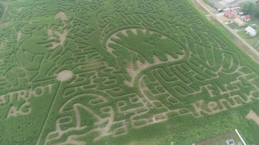 A-Maize-ing Farms unveils corn maze honoring ‘Jaws’ 50th anniversary ...
