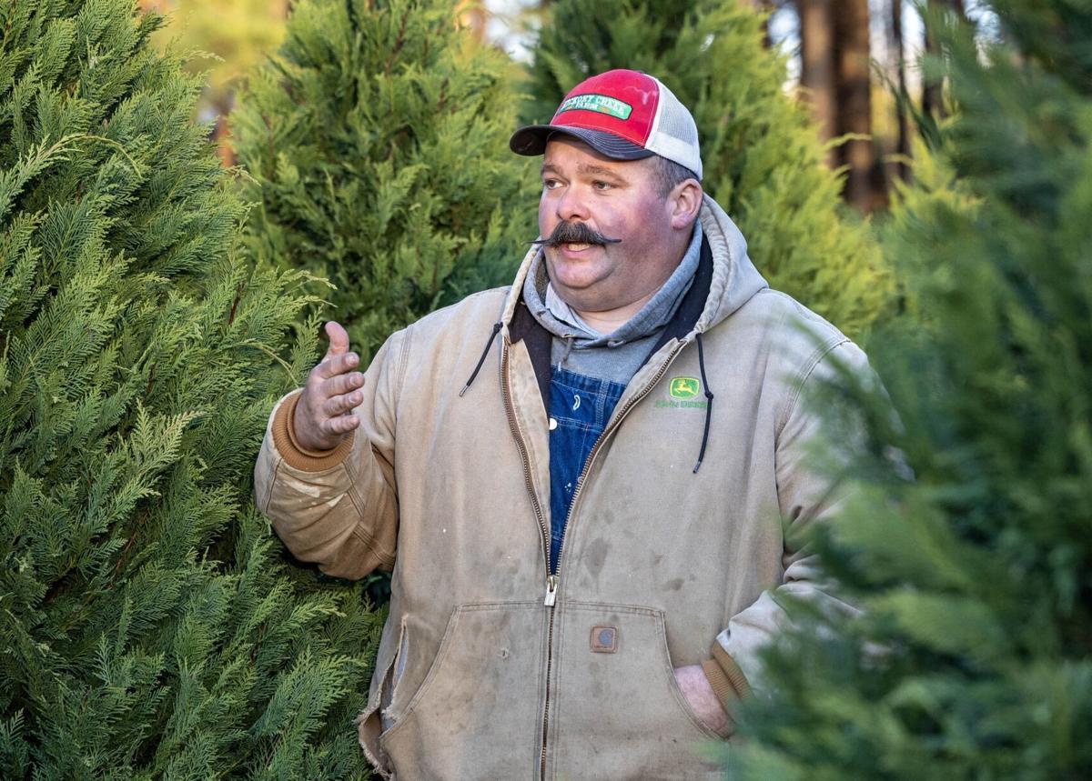 Hickory Creek Farm in Greensboro NC grows Christmas trees