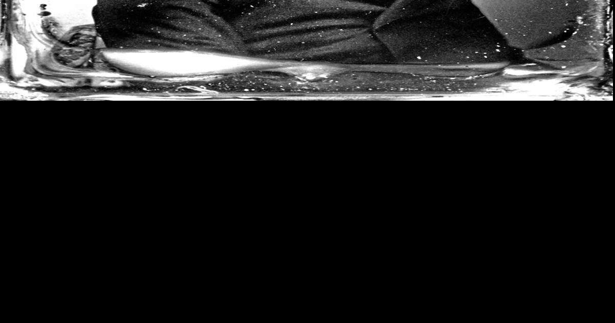 ‘Frederick Douglass in Five Speeches’