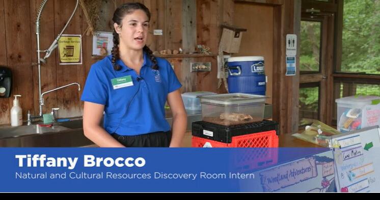 State agencies now accepting applications for summer 2023 student ...