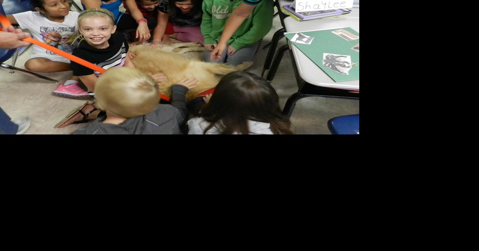 New education program teaches pet responsibility