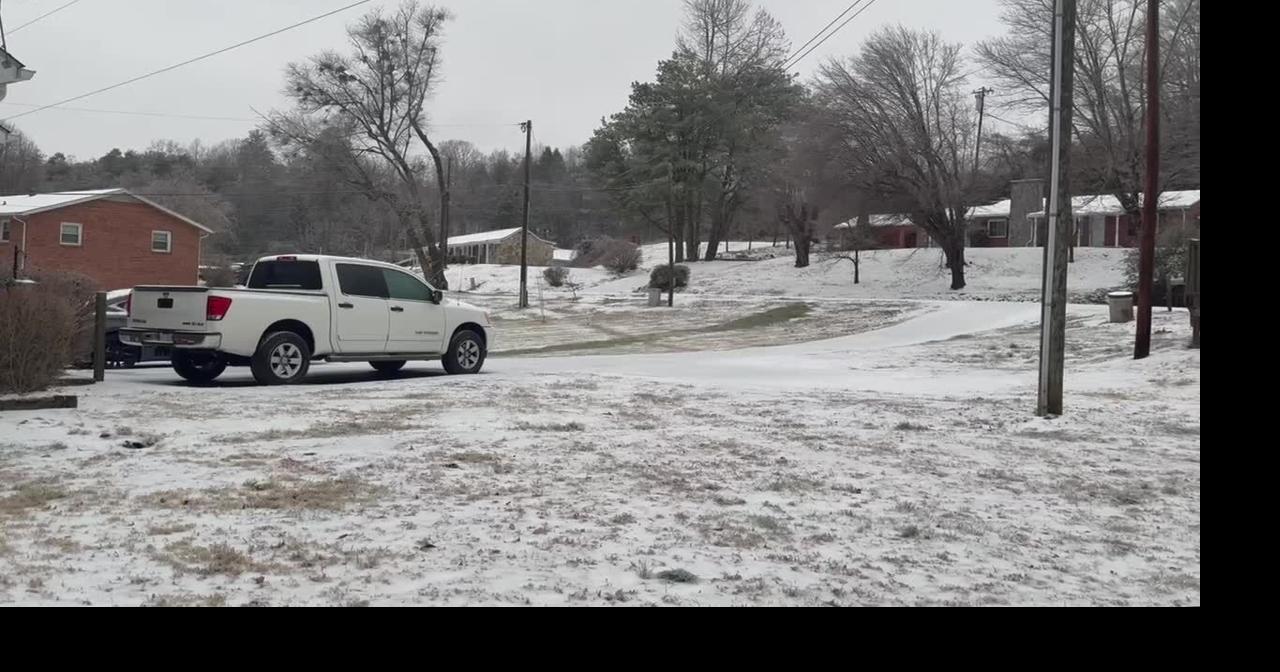 My backyard and Dandy in the winter storm