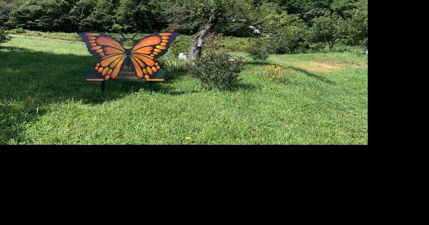 The Orchard partnership proejct with Penland complete