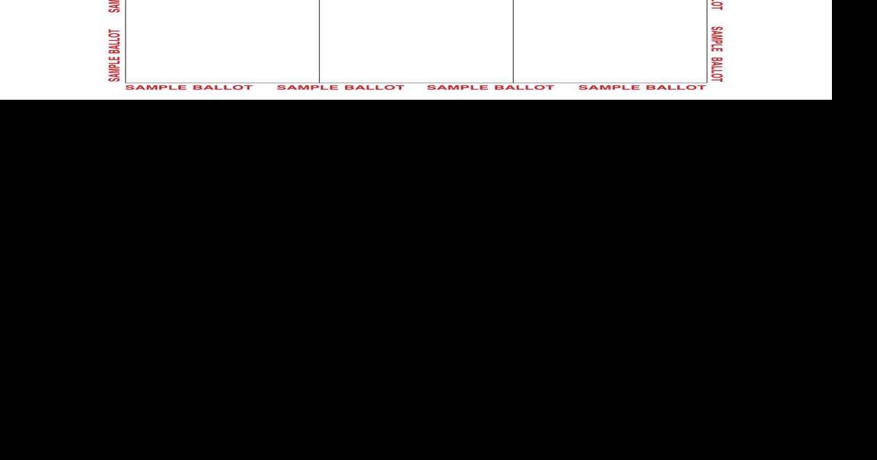 Old Fort sample ballot 2025 general election
