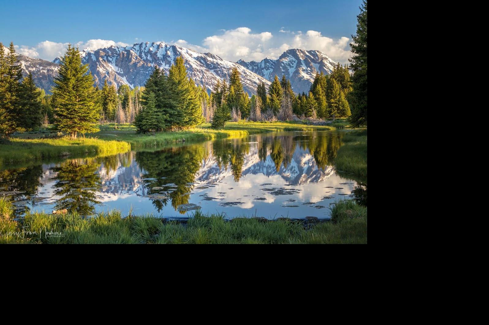 And the winner is... : Old Fort photographer takes grand prize in ...