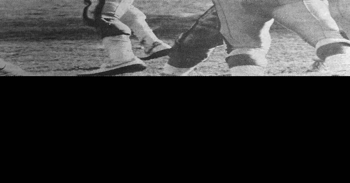 From Our Archives: Here's a look back at this week in 1986