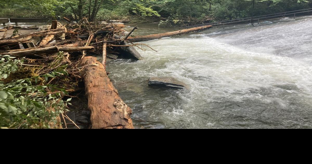 Status update for the Pisgah Ranger District