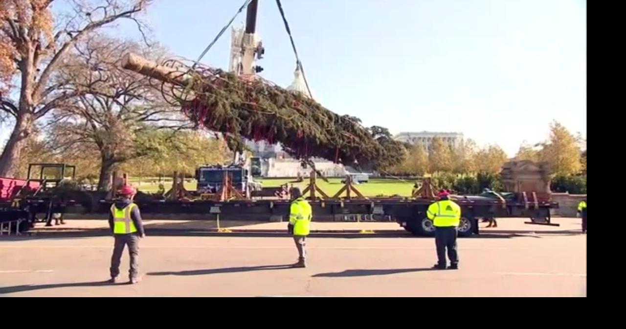After a stop in Marion, Ruby the Red Spruce arrives in DC. Lighting of ...